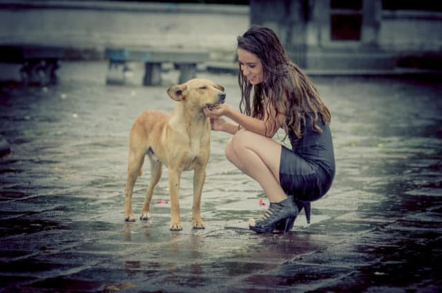 Empath vs Sympath: 7 Key Differences - Strength Essence
